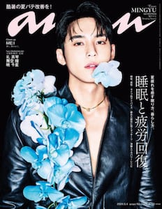 anan（アンアン）|マガジンハウス|4910204810946|文苑堂オンライン